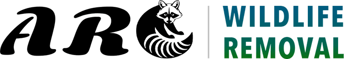 Animal Removal - Raccoon, Squirrel, Skunk & Bats | ARC Wildlife Removal ...